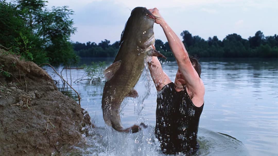 New to Catfish Noodling? Here’s What to Know - Florida Catfish Classic